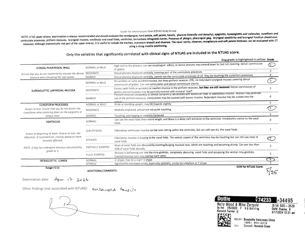 Norwich Terrier Pedigree Database
